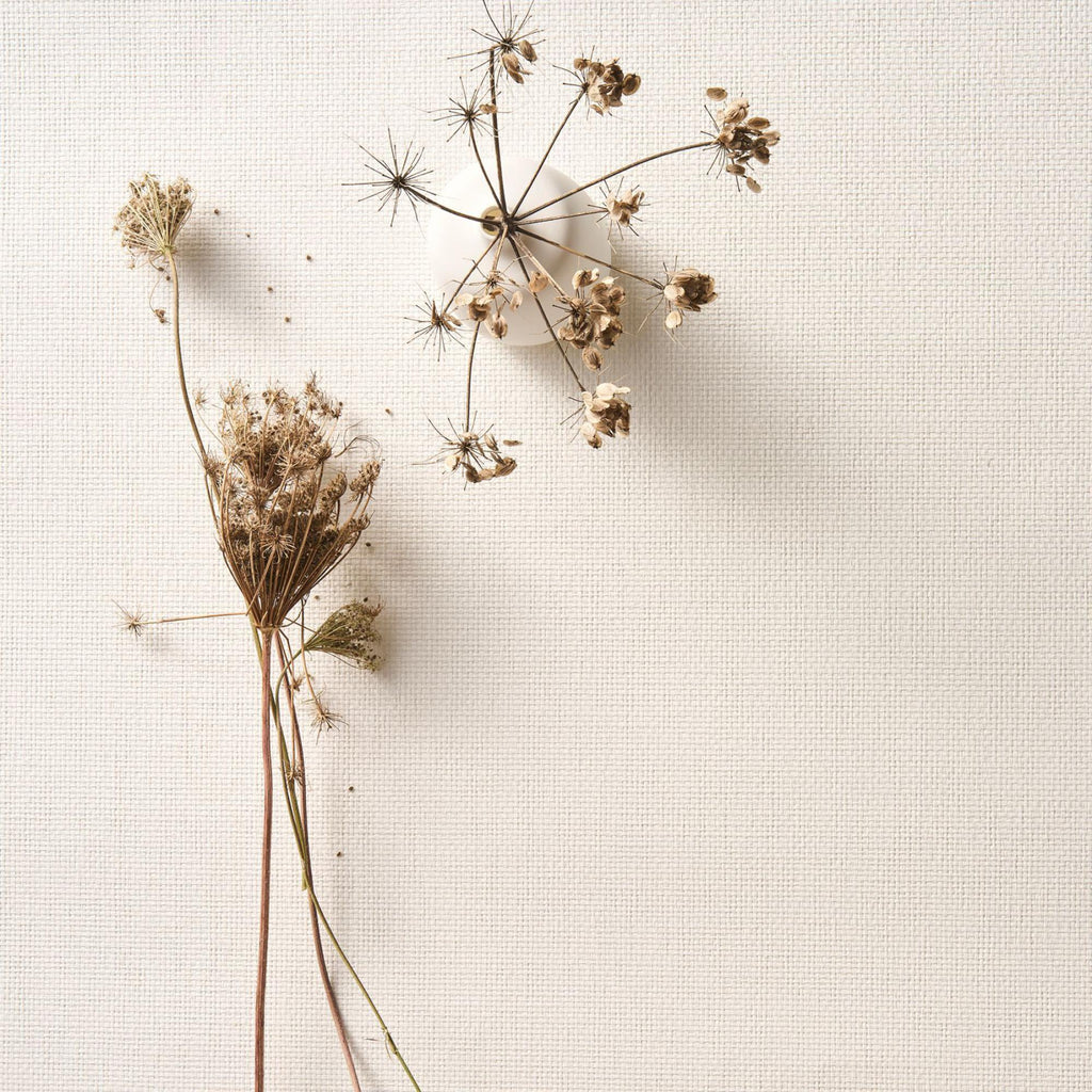 Pure Purity Arte | Traumfarbe.com